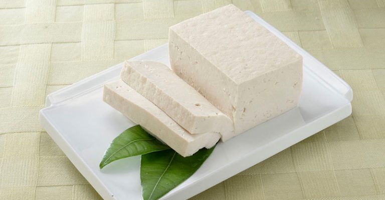 The History You Must Know of Tofu - Tofu Today